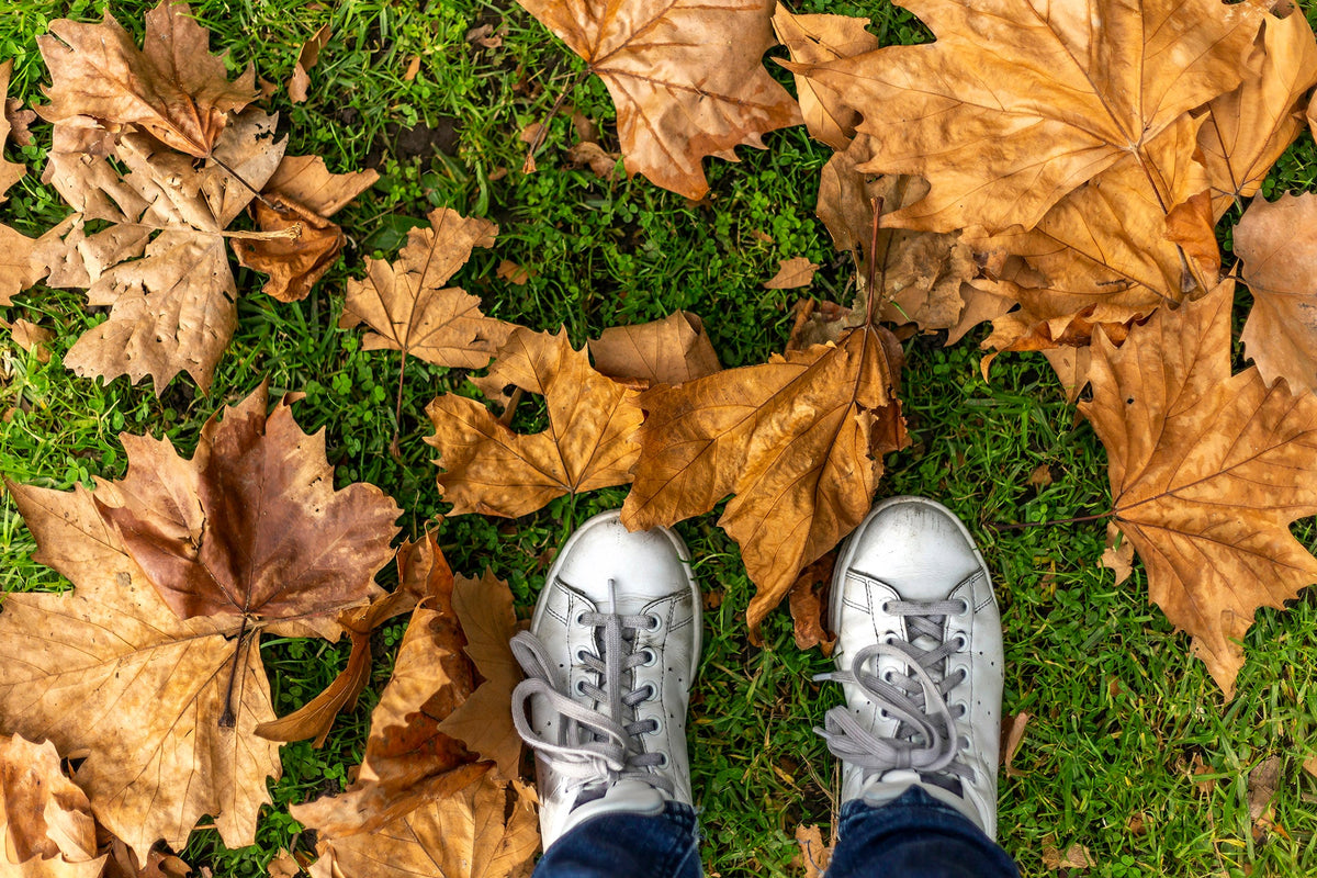 May Gardening & Landscaping Guide | Central Landscape Supplies