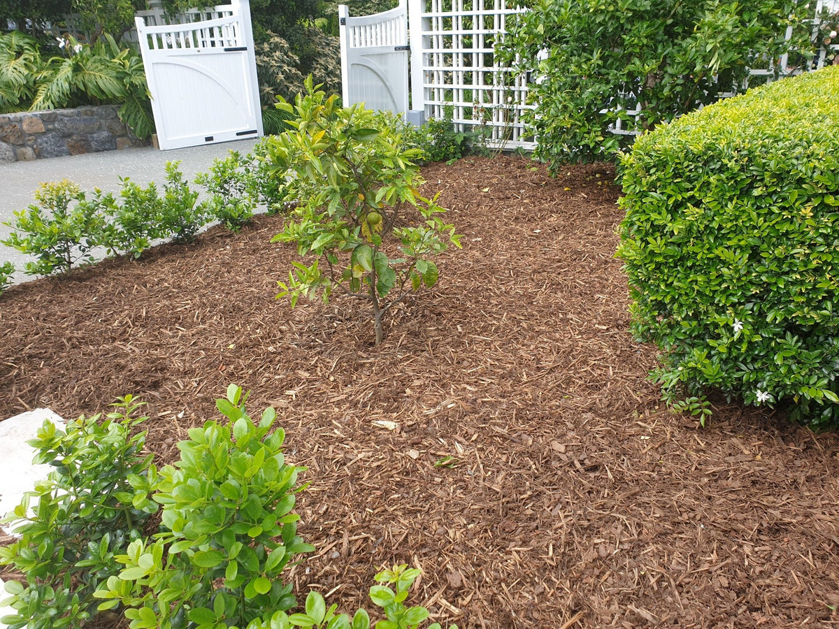 Arborist Mulch | Central Landscape Supplies