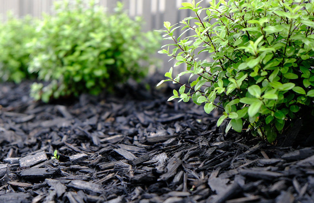 Enhanced Premium Black Mulch Black Mulch Sale Mulch Delivered